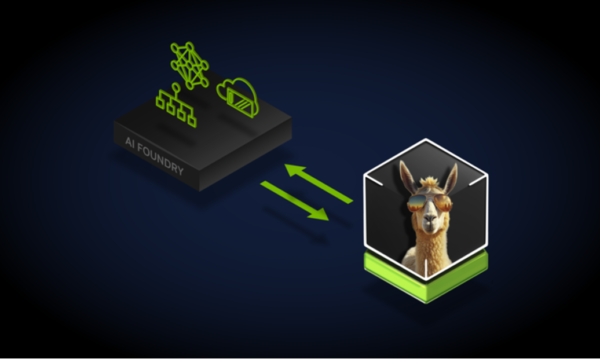 NVIDIA AI Foundry Builds Custom Llama 3.1 Generative AI Models for the World’s Enterprises | New ...